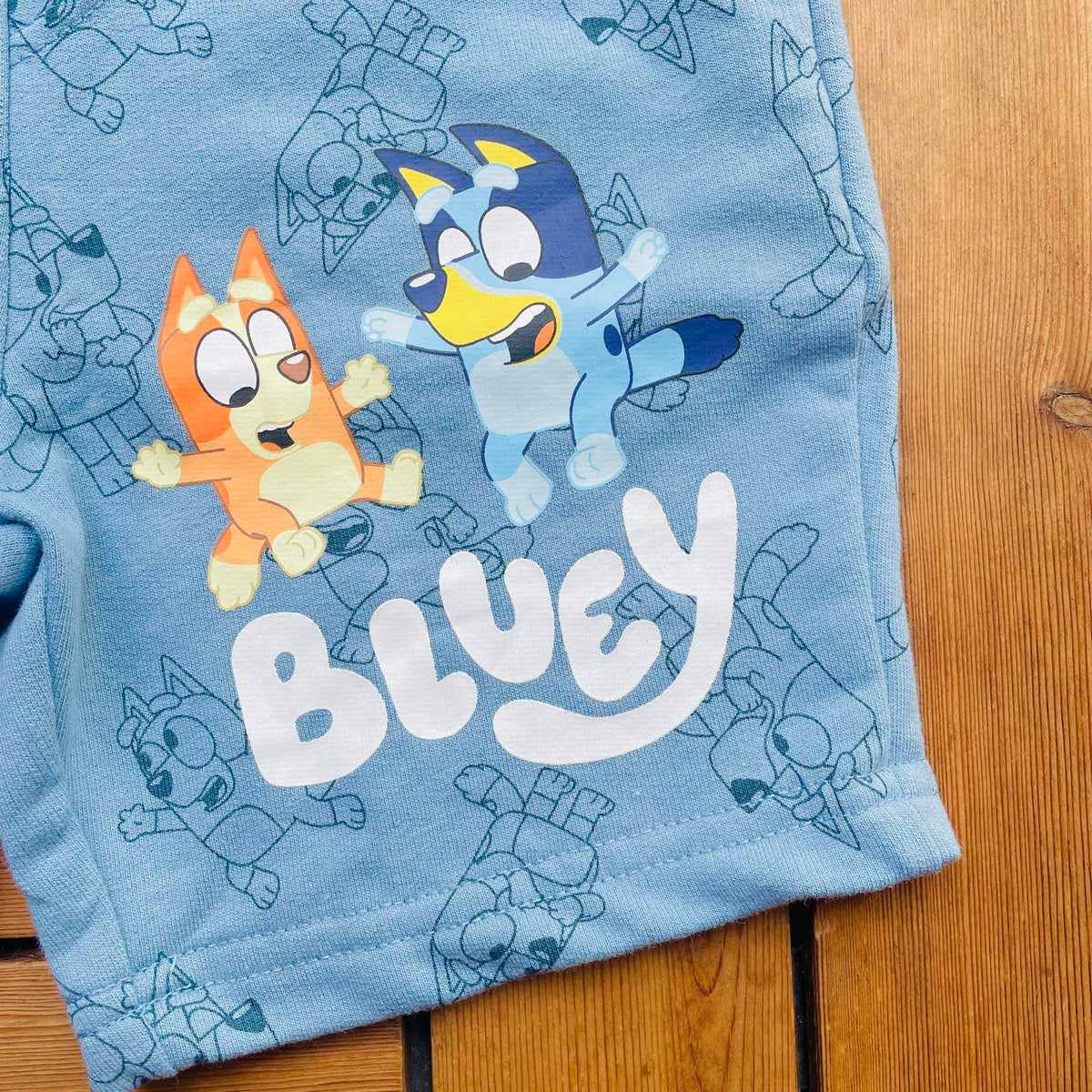 142117 Bluey – Samantha's Closet PH